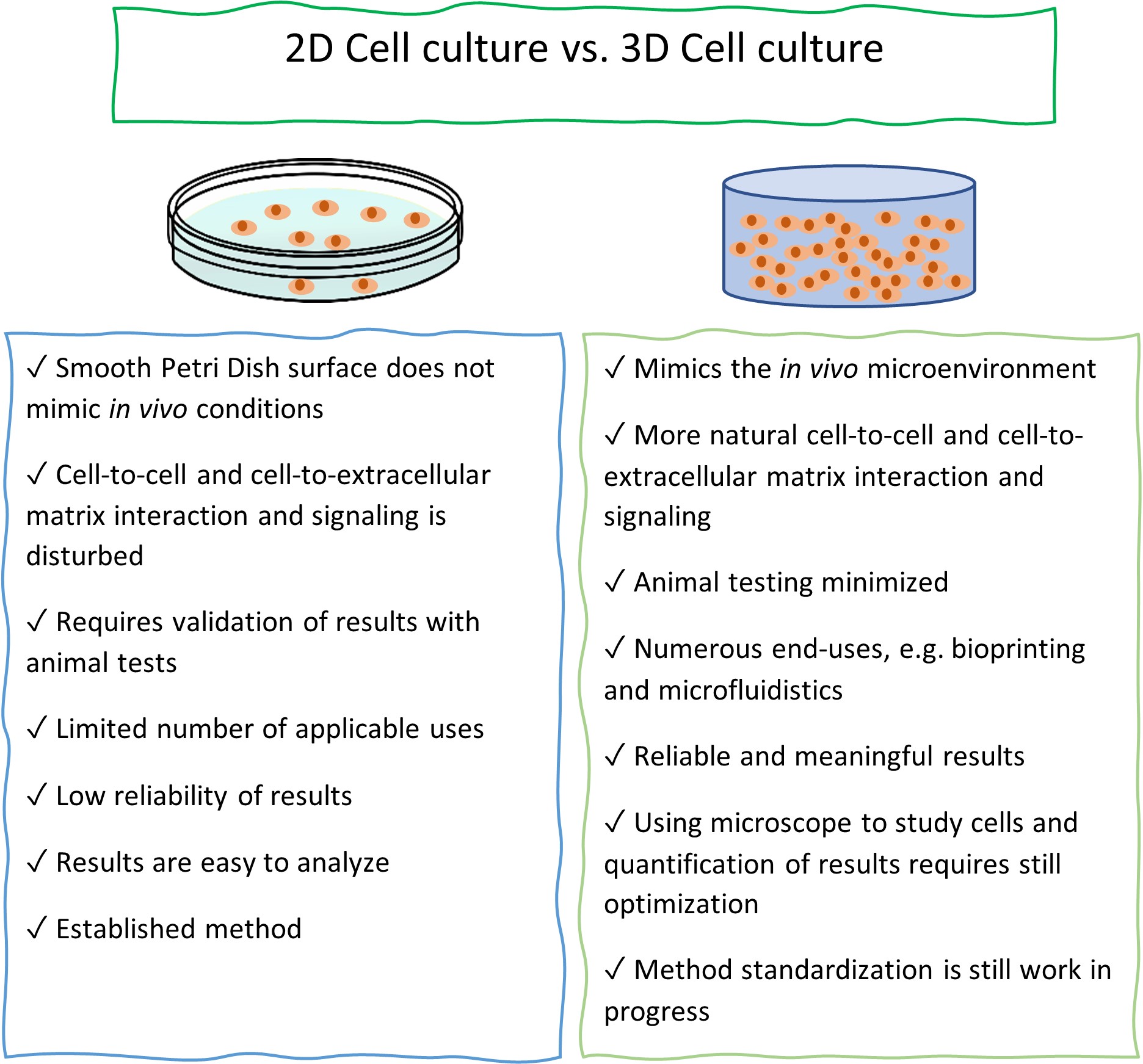 2D Cell Culture vs. 3D Cell Culture – AM Technologies By Brinter
